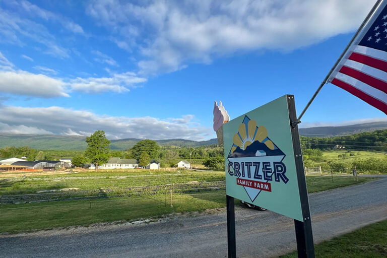 Play in Nelson County (Explore the County's Best Activities)