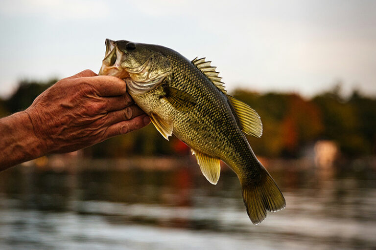 Fishing the James River - Nelson County
