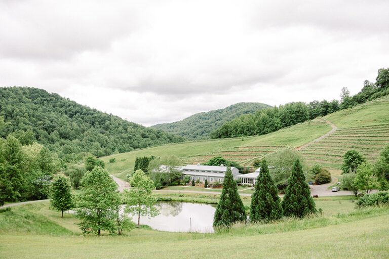 Vineyards & Wineries in Nelson County (See the List)