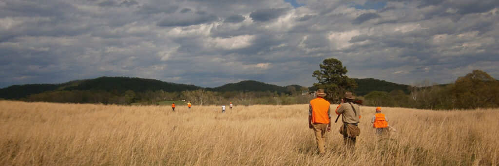 Massies Mill & Tyro - Nelson County
