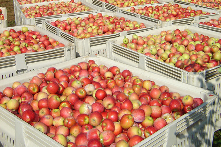 Farms & Orchards - Nelson County