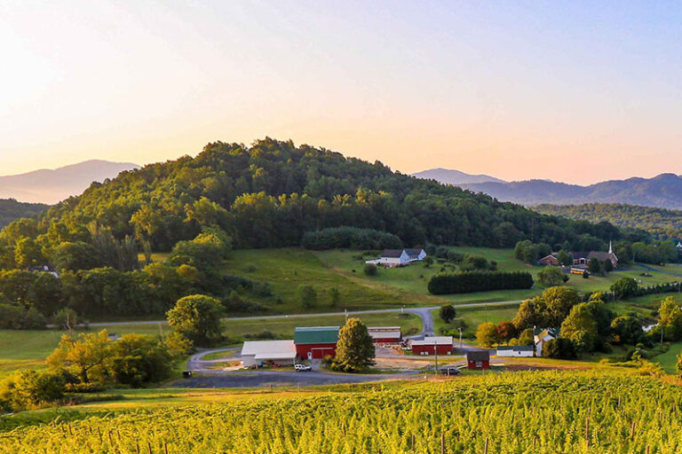 Vineyards & Wineries in Nelson County (See the List)