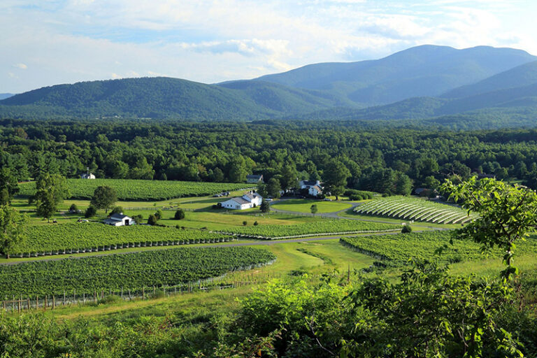 Vineyards & Wineries in Nelson County (See the List)